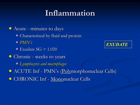 Ppt Acute Inflammation Powerpoint Presentation Free Download Id