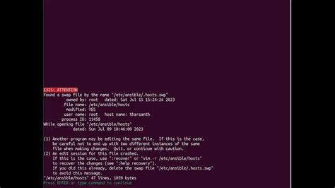 how to remove the etc ansible hosts swp file in ubuntu youtube