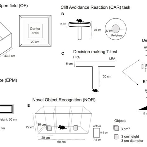Schematic Representation Of The Behavioral Tests Used To Characterize