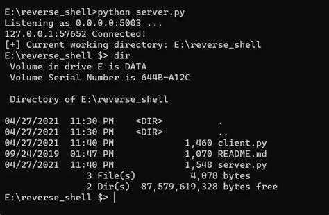 how to create a reverse shell in python the python code