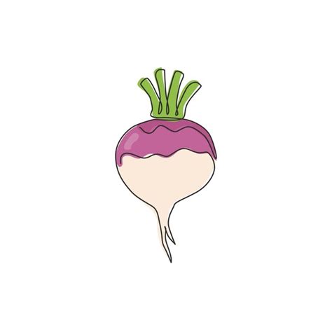 Premium Vector Single Continuous Line Drawing Of Healthy Organic