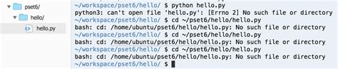 python pset6 hello python3 can t open file hello py [errno 2] no