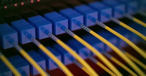 endless array of optic cables connected to the router ports loopable