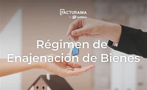 Funcionamiento Del Régimen De Enajenación De Bienes