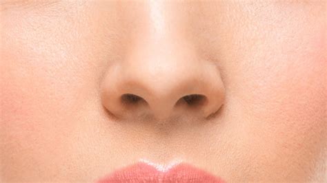 Stop Plucking Nose Hairs Dr Oz Weighs In On Health Habits