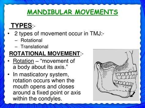 Ppt Mandibular Movements Powerpoint Presentation Free Download Id