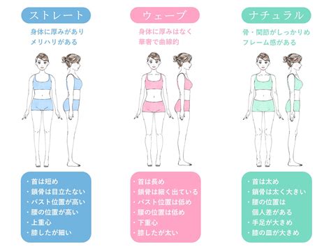 骨格診断 骨格診断について Atelier Sayaka