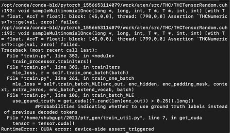 runetime error cuda runtime error 59 device side assert triggered