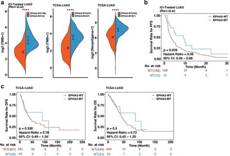 Epha5 Mutation Is Associated With Tumor Immunogenicity And