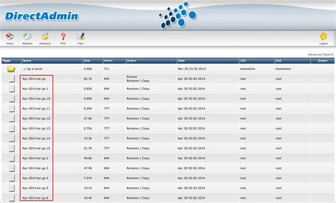 how to view apache usage and error logs in directadmin ipserverone