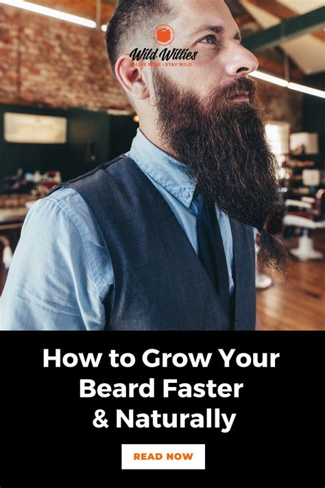 Wild Willies Beard Growth Tips Hair And Beard Styles Beard