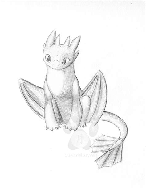 Toothless Sketch By Lunarbluewolf On Deviantart