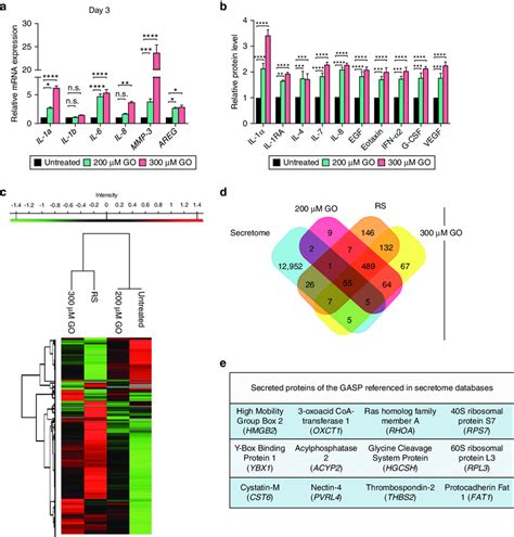 Characterization Of The Gasp From Early Stage Senescent Cells A Qpcr