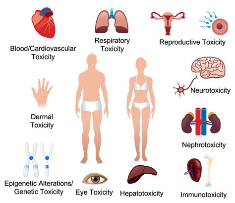 Describe Three Common Methods Of Chemical Exposure