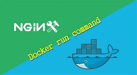 how to use `docker container run` command to run docker containers