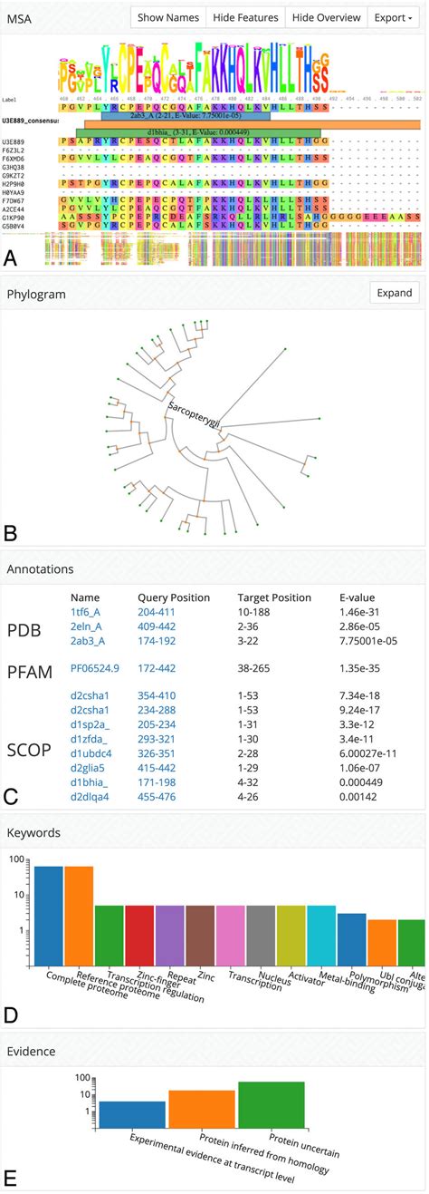 visualization of a cluster with the multiple sequence alignment