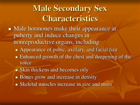 Ppt Brain Testicular Axis Powerpoint Presentation Free Download Id