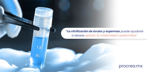 Vitrificación De óvulos Y Espermas ¡preserva Tu Fertilidad Procrea