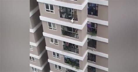 Repartidor Salva A Una Niña De Tres Años Que Cayó De Una Altura De 12