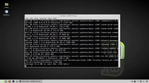 how to update and upgrade packages on linux mint youtube
