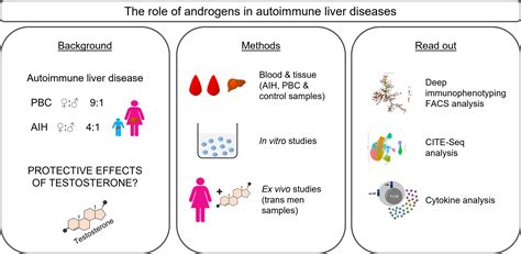 uke research unit 5068 02 autoimmune liver diseases