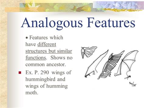 Homologous Vs Analogous Structures