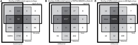 Frontiers Identifying Differential Transcription Factor Binding In