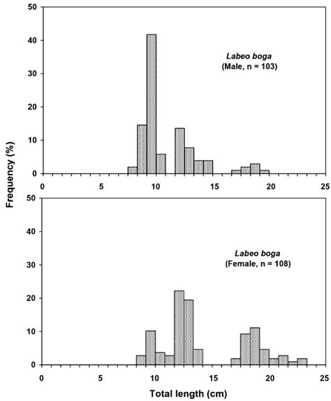 the length frequency distribution of l boga in the ganges river