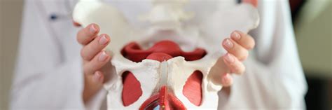 Pelvic Floor Physical Therapy For Womens Health Empowering Women