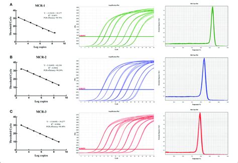 Real Time Pcr Melting Curve