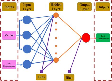 the topology of the proposed feedforward backpropagation neural network