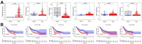 Clinical Heatmap Of Risk Scores And Time Dependent Roc Curve Analysis
