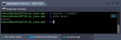 custom environment variables virtuozzo dev docs