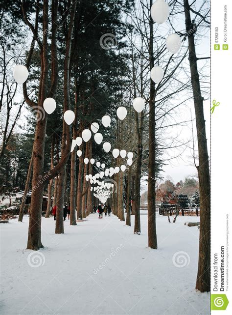 Park Covered By Snow And Freezing Lake During Winter At Sunny Day Stock