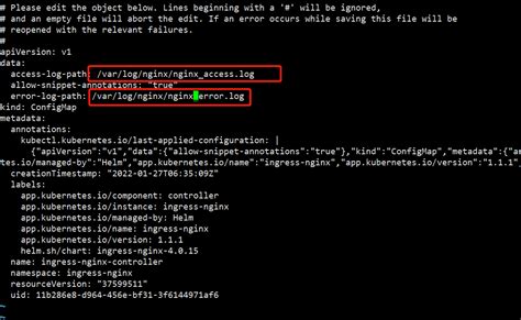如何修改ingress nginx controller中access log和error log的路径？ zhai david 博客园
