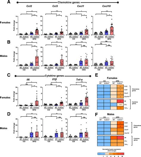 Sex Dependent Hepatoprotective Role Of Il 22 Receptor Signaling In Non
