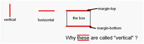 css why margin top and margin bottom are called vertical margins