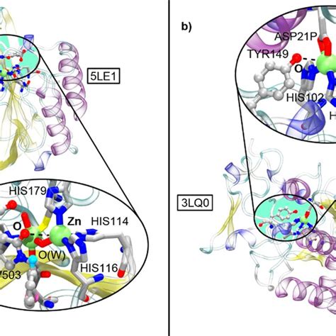 Partial Views Of 5le1 A And 3lq0 B X Ray Structures The Sp Bond