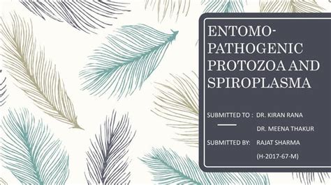 Entomopathogenic Protozoa And Spiroplasma Ppt