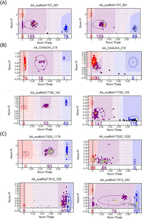Reproducibility Of Illumina Goldengate Assay Clustering Patterns A