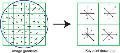 3 scale invariant feature transform sift by lowe 2004 describes