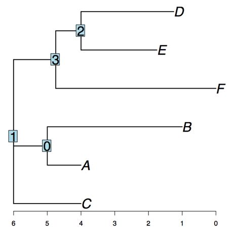 python for bioinformatics neighbor joining in python
