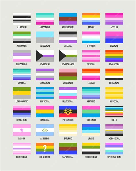 Premium Vector Collection Of Gender Identity Flags Pride Flags Vector