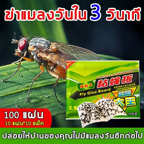 🦟100 แผ่น 🦟กาวดักแมลงวัน ไล่แมลงวัน 200 100 50แผ่น ติดแมลงวันตัวใหญ่