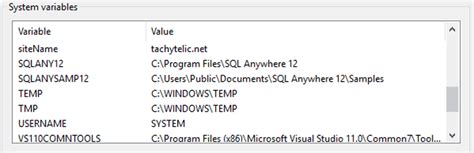 use powershell to set environment variables