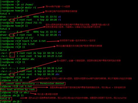 linux文件的普通权限详解 csdn博客