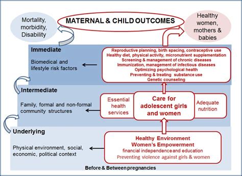 Preconception Care Closing The Gap In The Continuum Of Care To