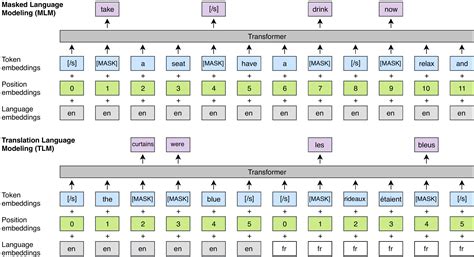 xlm explained papers with code
