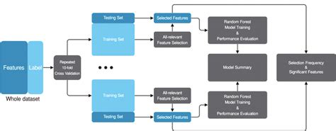 flowchart shows feature selection and model training
