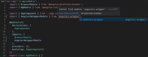 typescript bad packaged library angular custom library npm